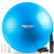PRO MAX Series Exercise Ball - By SmarterLife | SmarterLife Products LLC