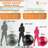 PRO MAX Series Exercise Ball - By SmarterLife | SmarterLife Products LLC